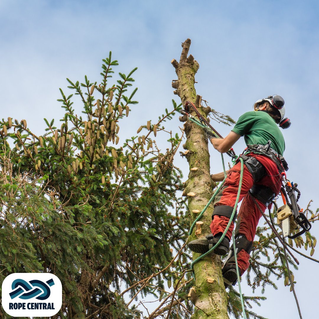 Climbing, Arborist, Abseiling & Rescue Ropes – Rope Central